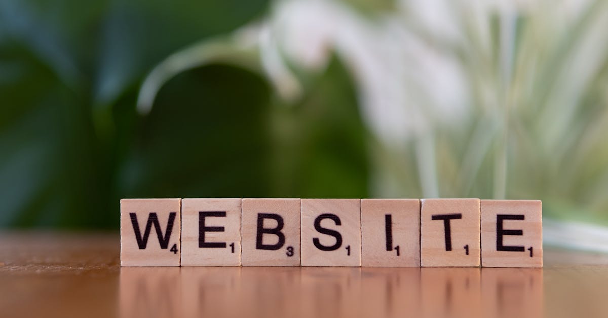 Qu'est-ce qu'un bot web et comment fonctionne-t-il ? - Leadeusesduweb